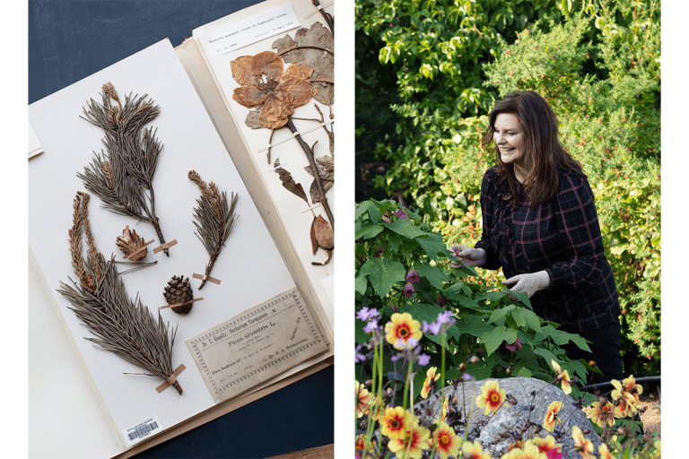 This Life: Imogen Russon-Taylor | Homes & Interiors Scotland