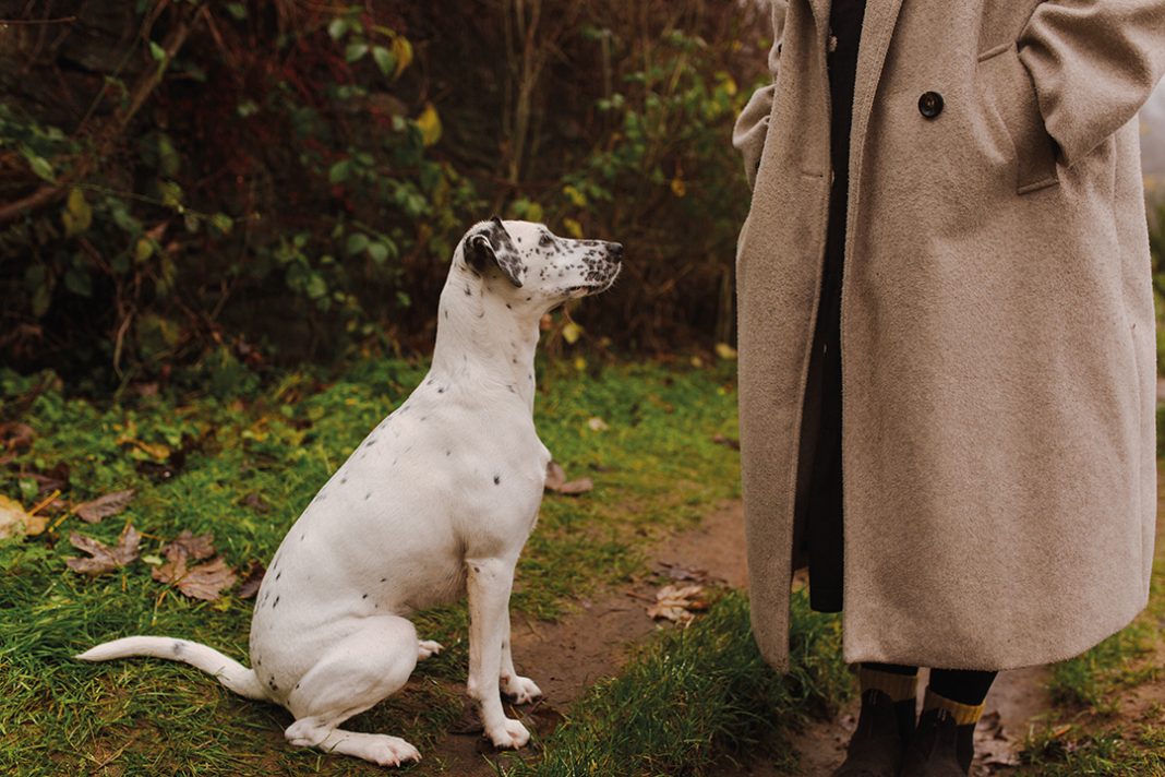 Behind the scenes with food writer and baker Flora Shedden | Homes ...