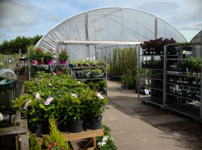 Discover 19 of the best garden centres in Scotland 2023