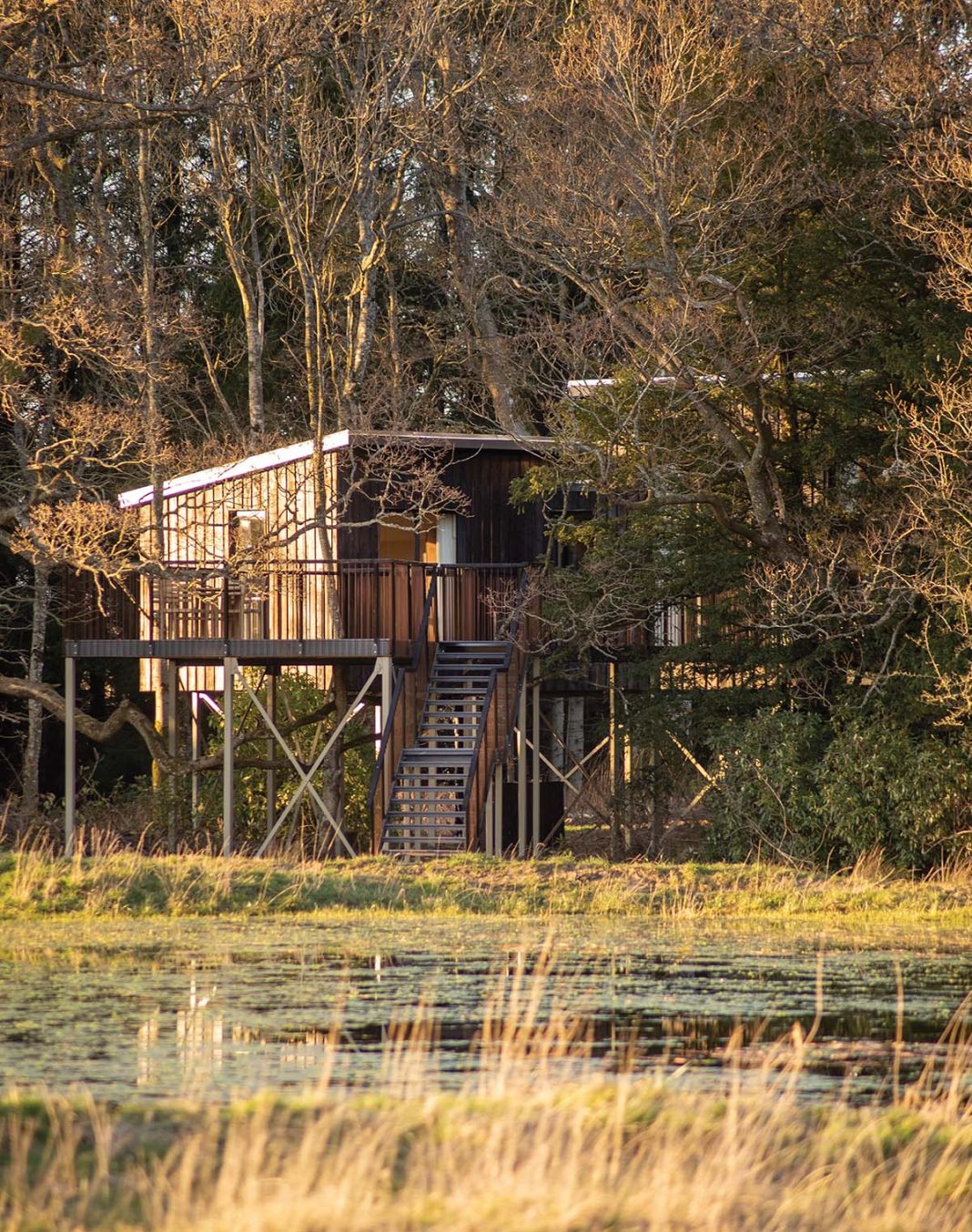 This treehouse stay is the perfect spot for a New Year refresh