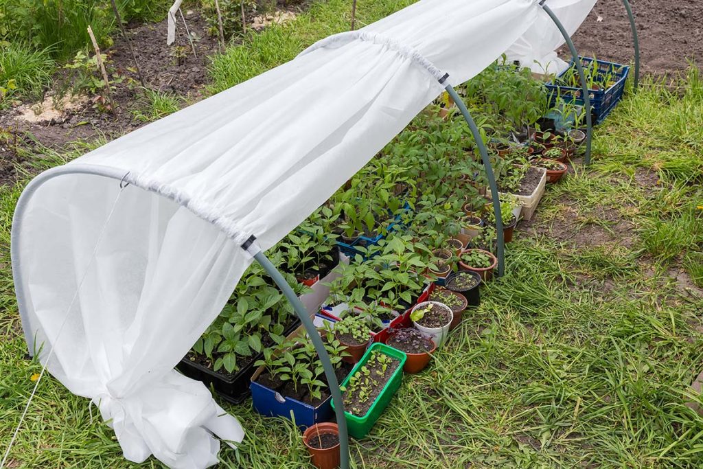5 things to avoid when building a polytunnel at home