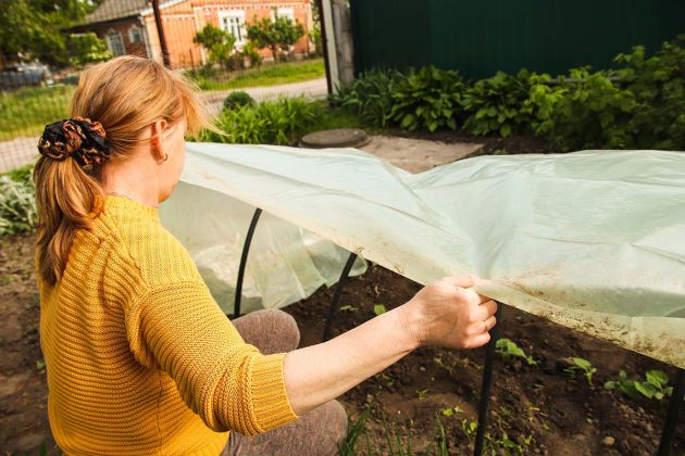 5 things to avoid when building a polytunnel at home